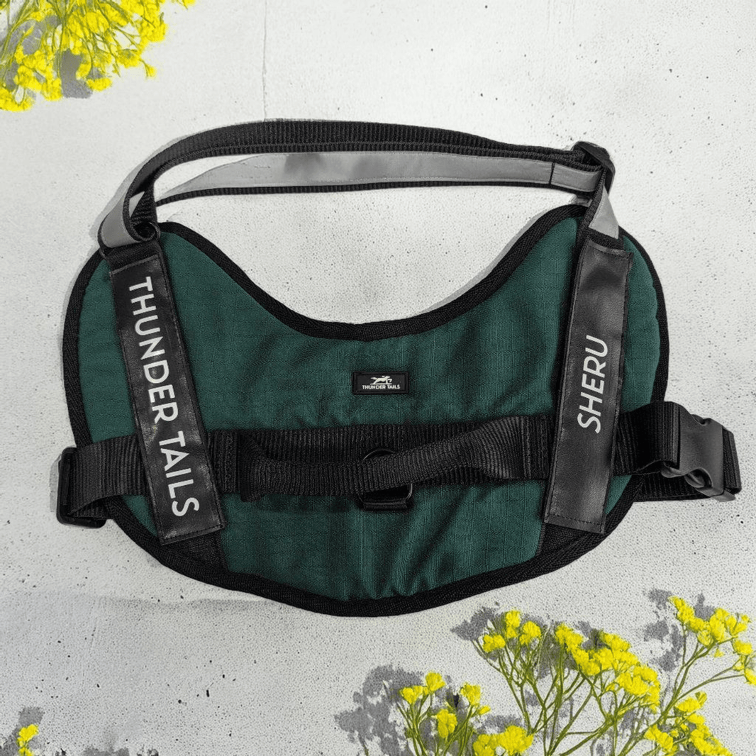 Unique Pet Supplies | Customized Dog Accessories - Thunder Tails